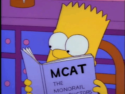 Simpsons Monorail Memes The Simpsons Monorail Disaster YouTube