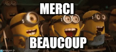 Merci Beaucoup Gif
