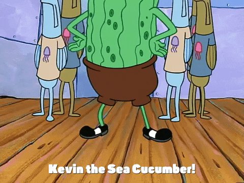 Spongebob Hi Kevin Gif