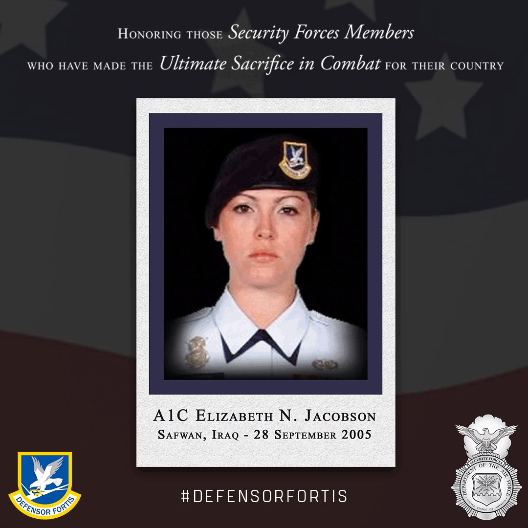 Usaf Security Forces Wallpaper