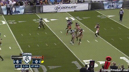 Lfl Gif