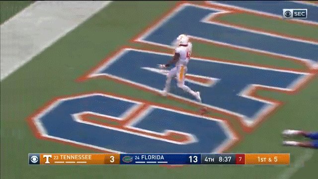Gator Chomp Gif