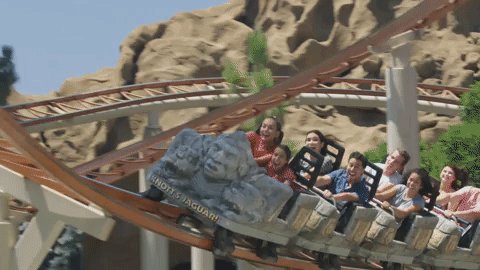 Jaguar Roller Coaster