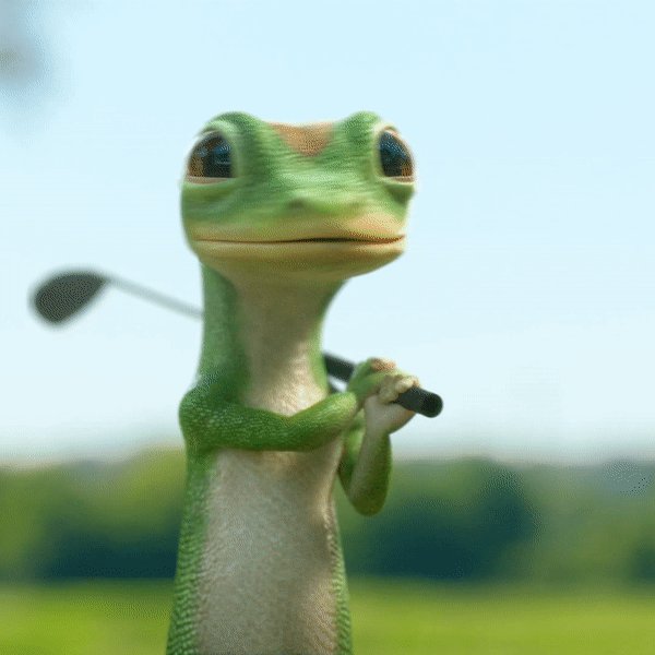 Geico Gif