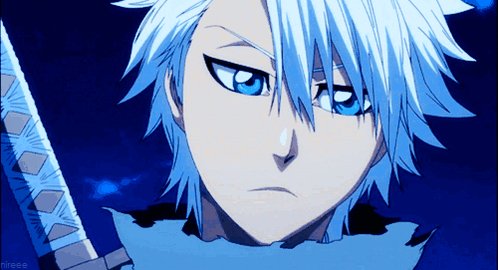 Toshiro Timeskip