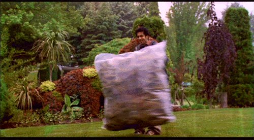 Harold And Kumar Weed Bag