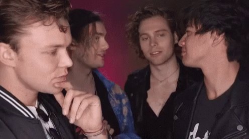 5sos With Fans Gif