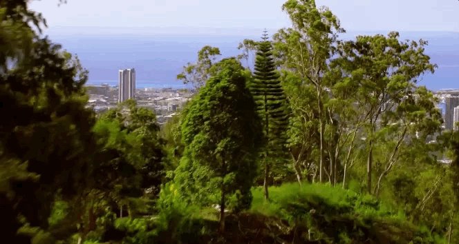 162 best H50 images on Pholder | Hawaii Five0 CBS, Imchosenjacobs and FRC