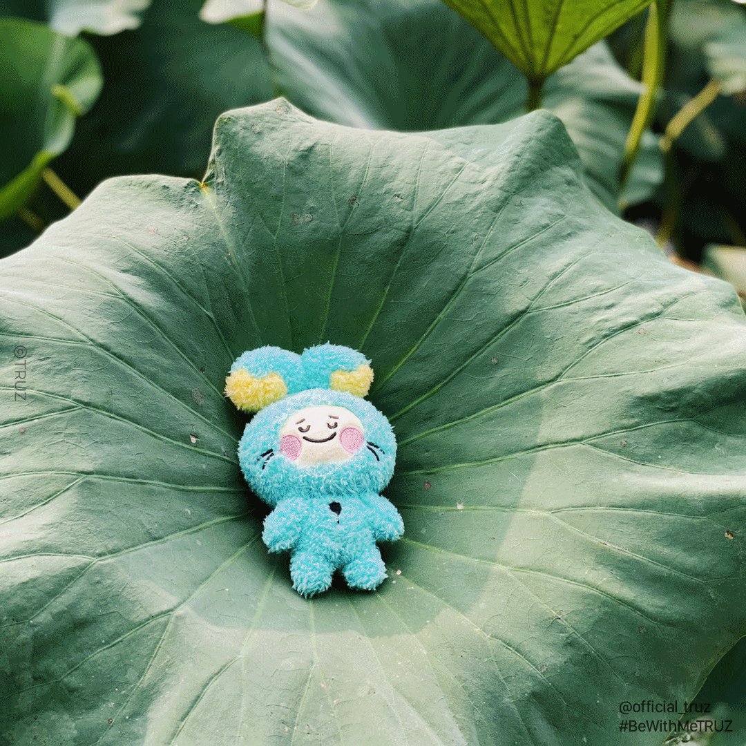 TRUZ on Twitter: "📸Challenge! Take a picture of your #TRUZ, tag @official_truz with # ...