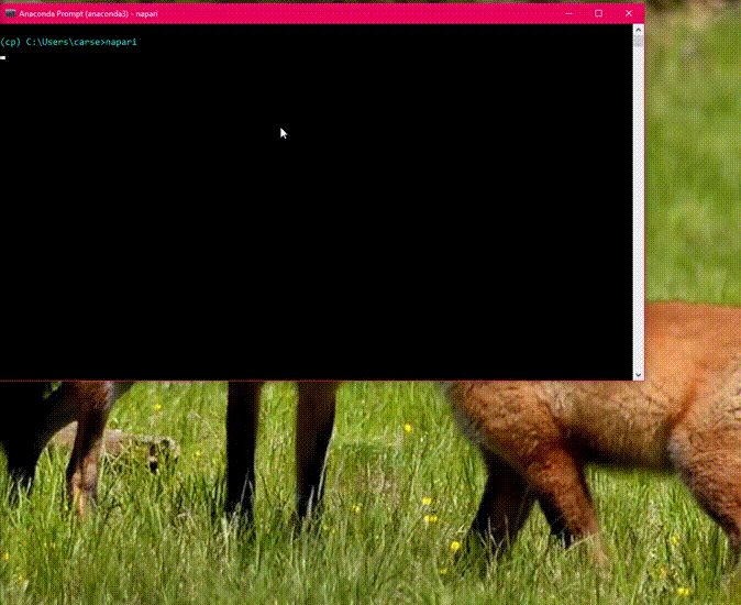 Carsen Stringer on Twitter: "You can now run #cellpose in #napari with full functionality! # ...