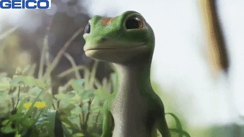 Geico Gecko Gif