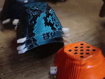 Iguana-skin face masks? Yup. Python skins? Those, too. This South ...