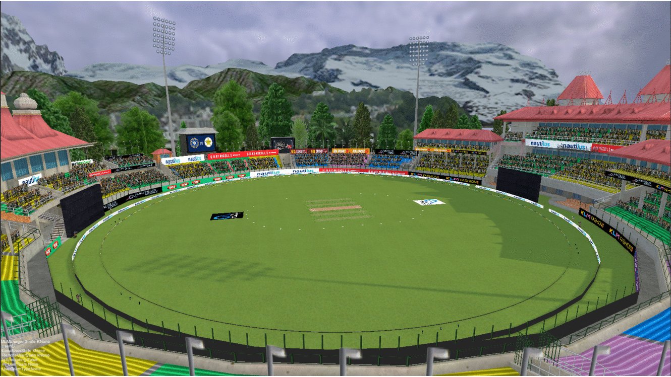 Real Cricket Field