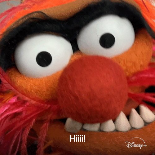 Animal Muppet Meme