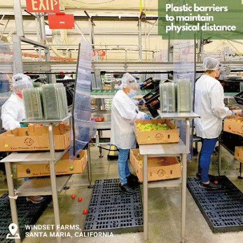 Windset Farms®Windset Living - Windset Farms®