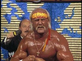 Hulk Hogan 24 Inch Pythons Meme