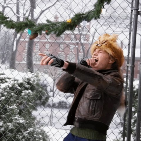 Scut Farkus