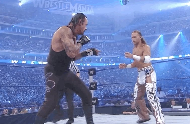 Wrestlemania 25 Undertaker