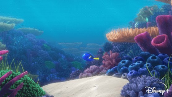 Finding Nemo Coral Reef