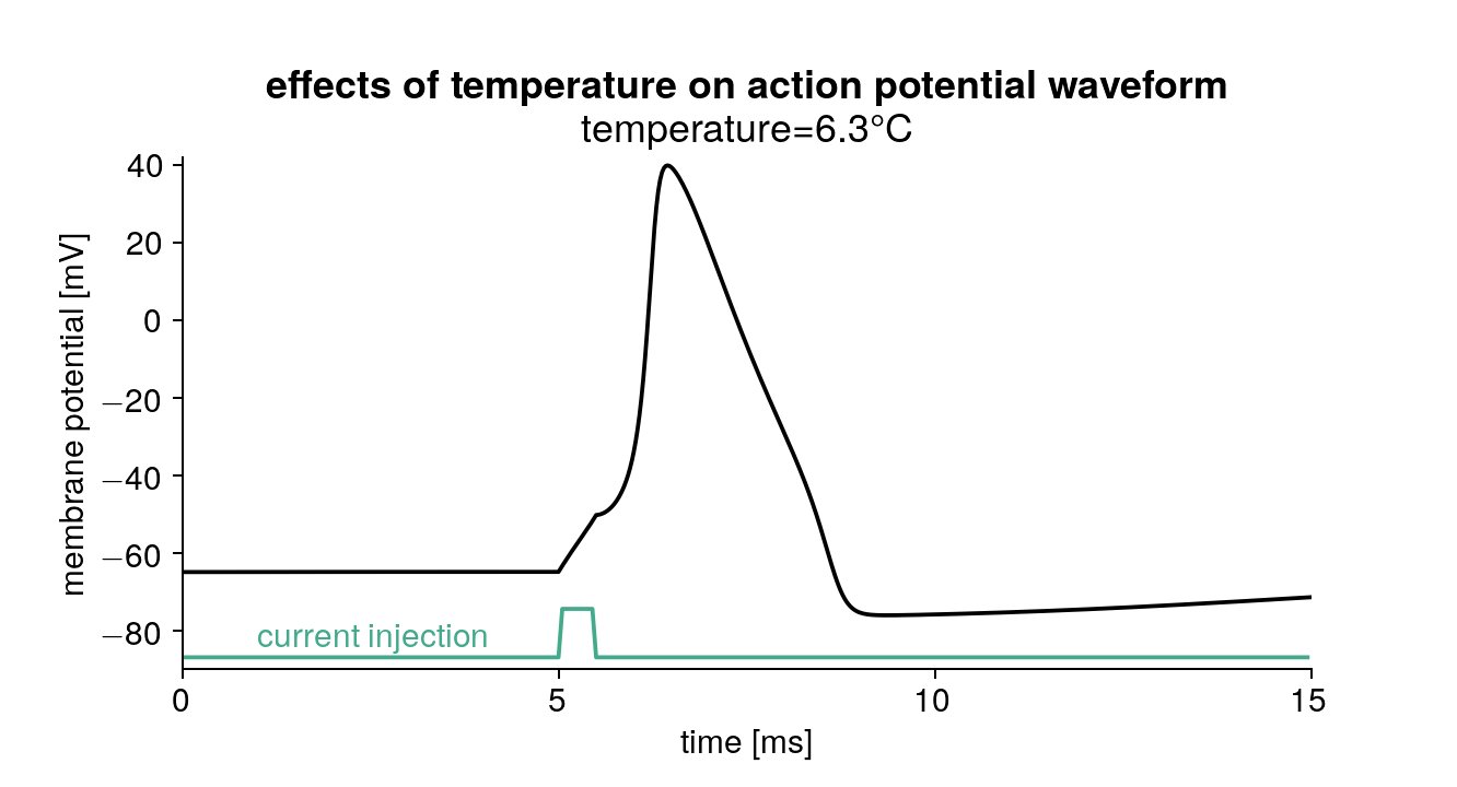 Blank Action Potential Diagram
