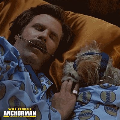 Scotch Anchorman Gif