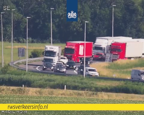 Rijkswaterstaat Verkeersinformatie on Twitter: "🦒 | Op de #A17 stond een giraf op weg naar ...