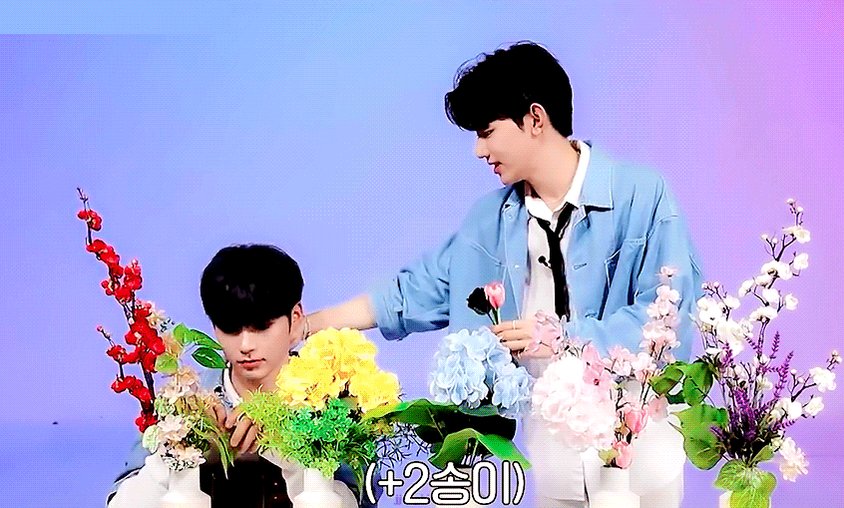 장뽀 on Twitter: "🌸https://vo.la/dMsA8 #센터즈 #장하오 #성한빈"