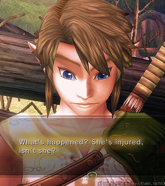 Link Twilight Princess Screenshot