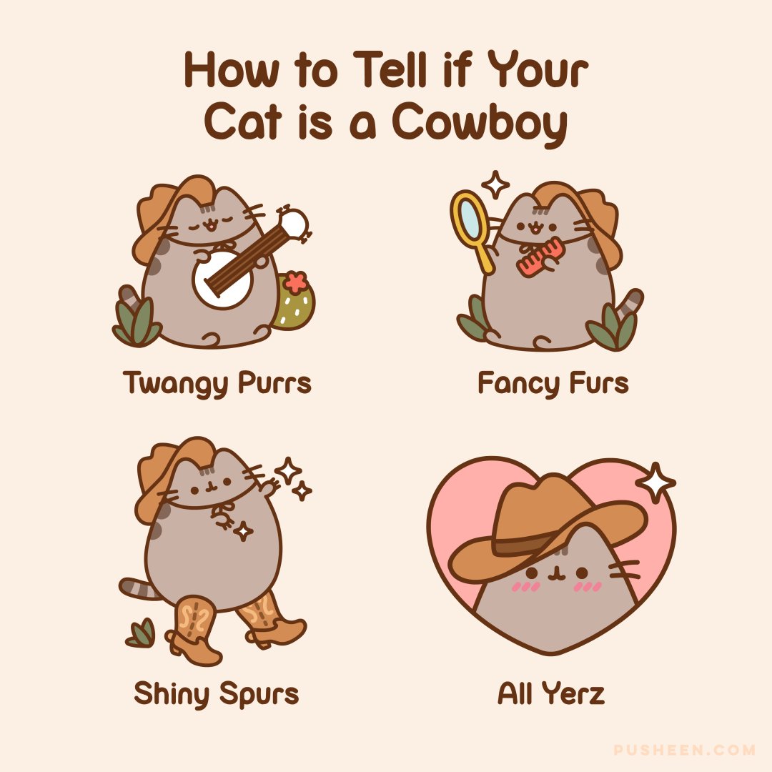 Pusheen The Cat Fancy