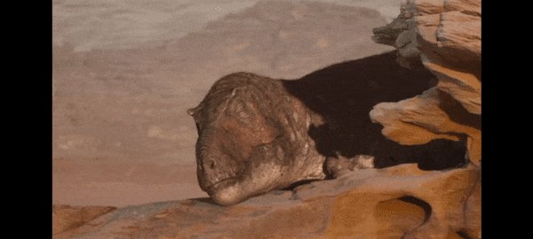 Diictodon Walking With Monsters