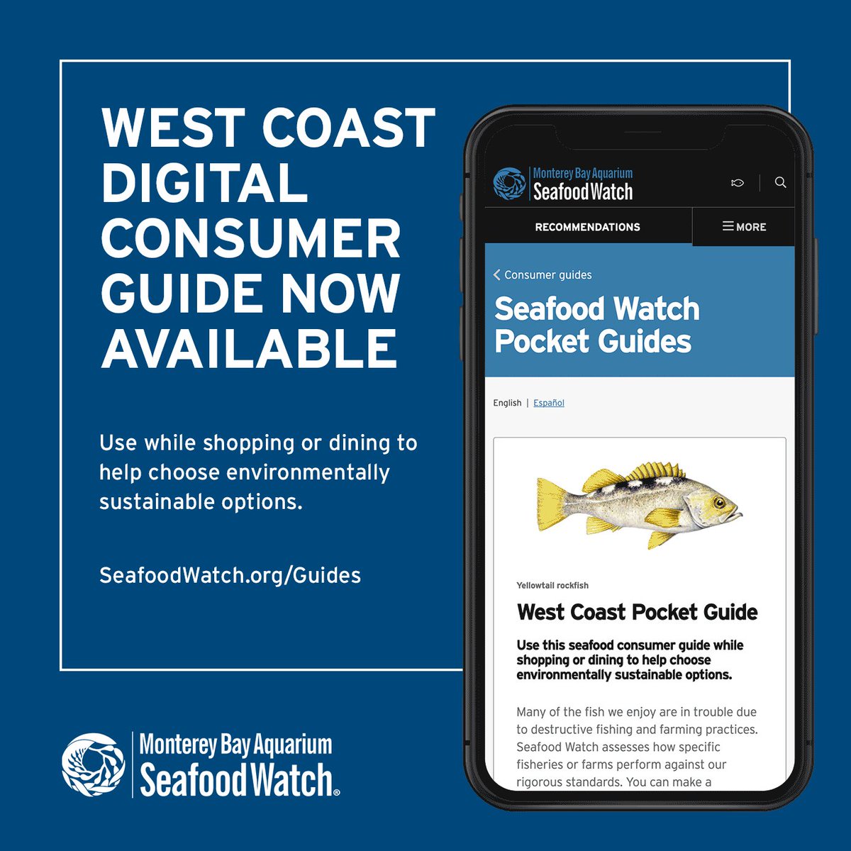 Seafood Watch Logo FIS Worldnews In Brief IN BRIEF Albacore And