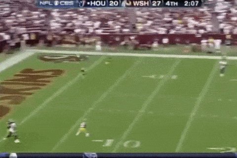 Andre Johnson Fight Gif