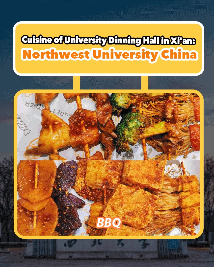 ProVeg: a bean-ally | SDG2 Advocacy Hub