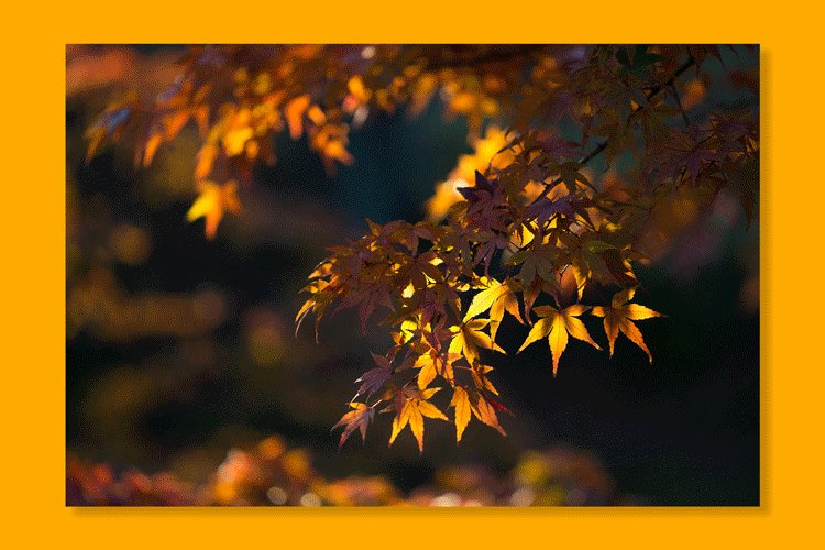 No_Silp (@no_silp) | Twitter