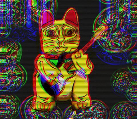 Hipster Cat Gif