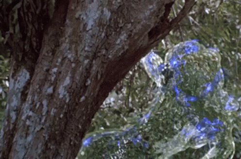 Predator Movie Invisible