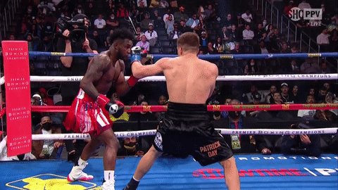 Knockout Punch Gif