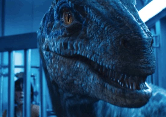 Velociraptor Smiling Jurassic Park