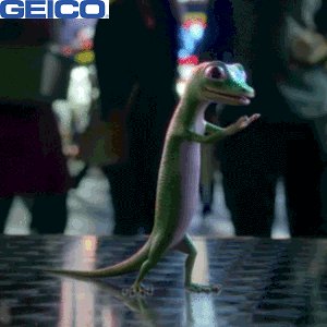 Geico Gecko Gif