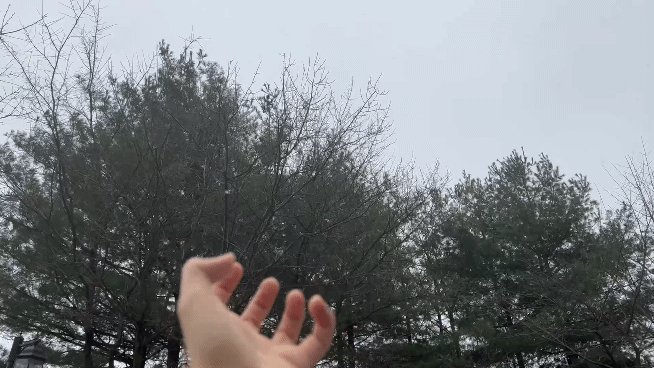 hey itsyohoshi ఇ (click me & read before transacting) / Twitter