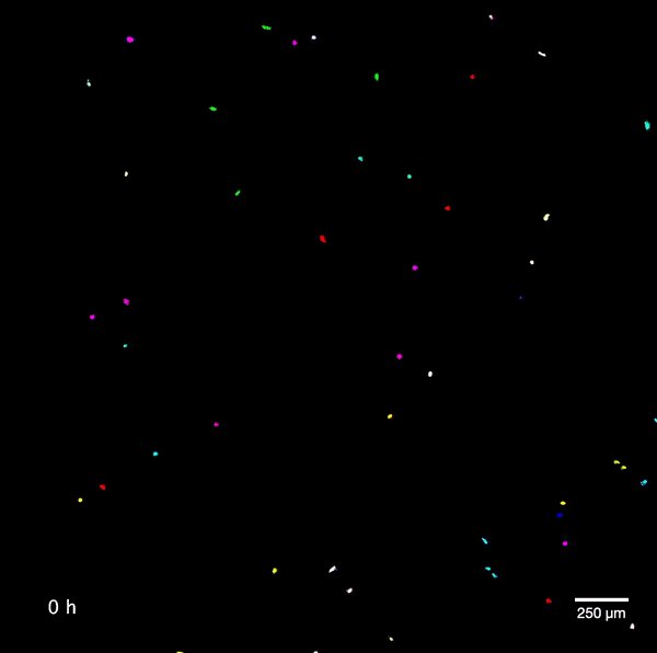 Galaga Stars Background