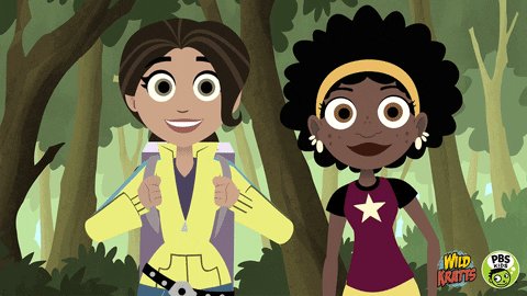 Wild Kratts Koki