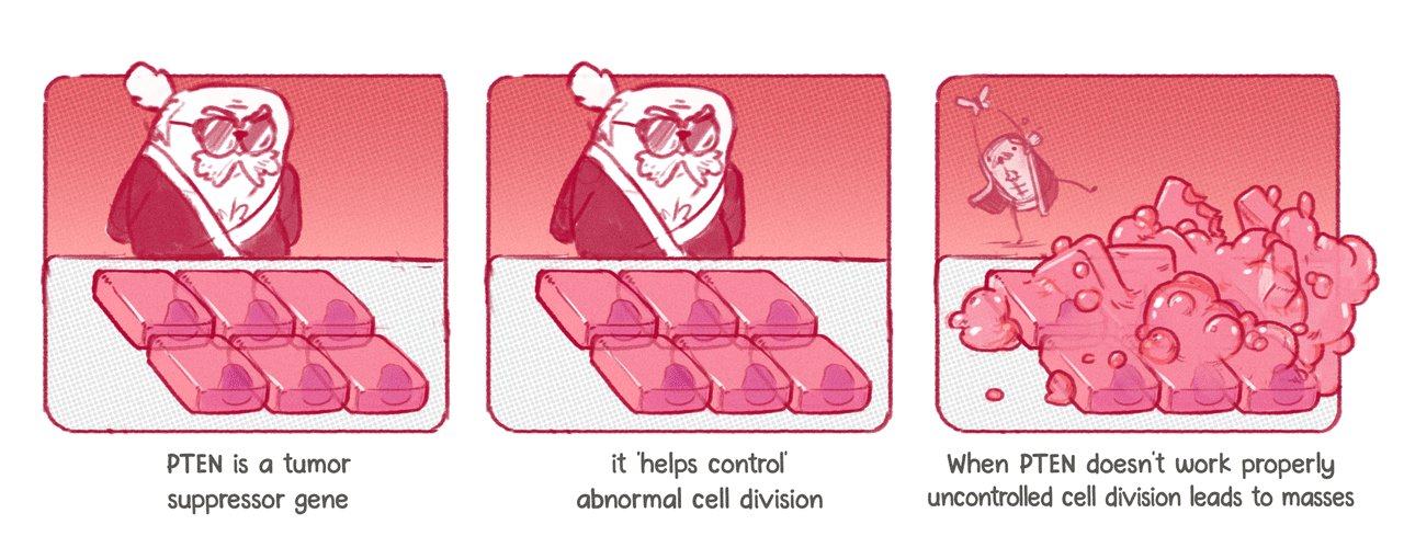 Cell Division Cartoon