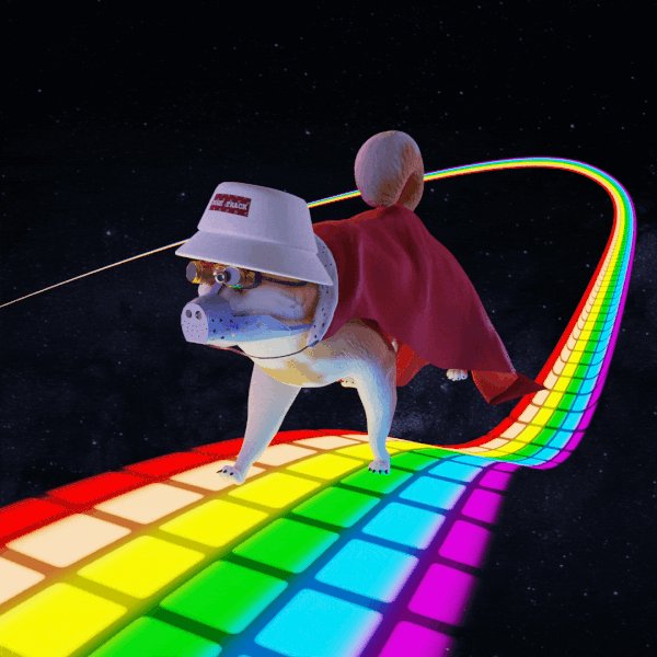 Solana NFT Radar on Twitter: "The @theDogeTrack WL mint is now open! Total Supply: 6k Price: 1.5 ...