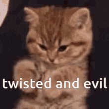 Caylin🎀🌸💐💕 on Twitter: "@botmaestro1171 https://t.co/oWJpi5qX5M" / Twitter