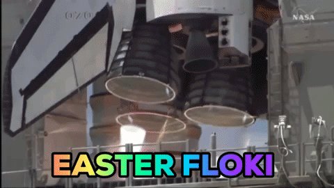 Juri 🇺🇦🙏 on Twitter: "@EasterFloki 3.. 2.. 1.. 🔥🚀🚀🚀 https://t.co/I1LwGlxBH0" / Twitter