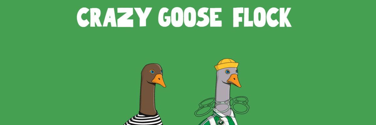 Foolish Goose