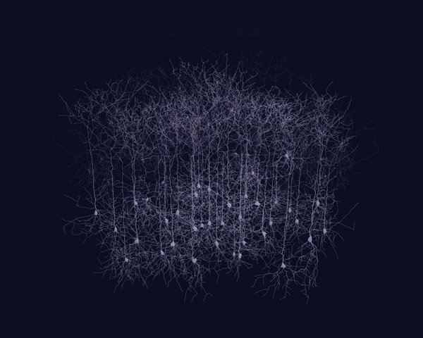 Neural Computation Lab on Twitter: "Out today – all-optical interrogation lore from ~10 years of ...