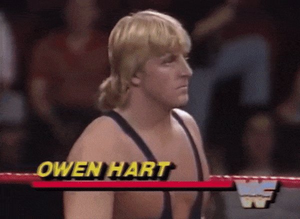 Owen Hart Fall Gif