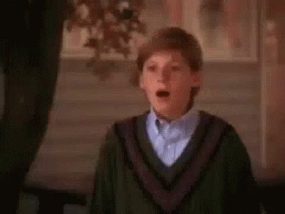 Homeward Bound Shadow And Peter